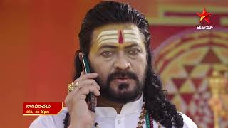 Naga Panchami - Episode 3 Telugu TV Serial 29 Mar 2023| MaaTv Telugu ...