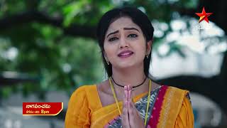Naga Panchami - Episode 55 Telugu TV Serial 29 May 2023| MaaTv Telugu ...